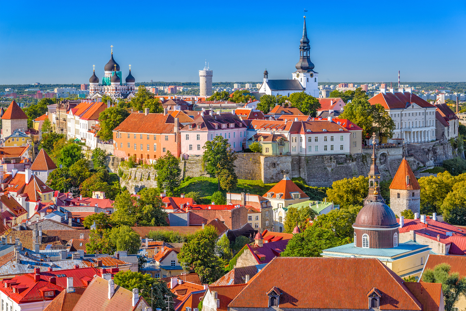 33 cosas que ver y hacer en Tallin | Musement Blog