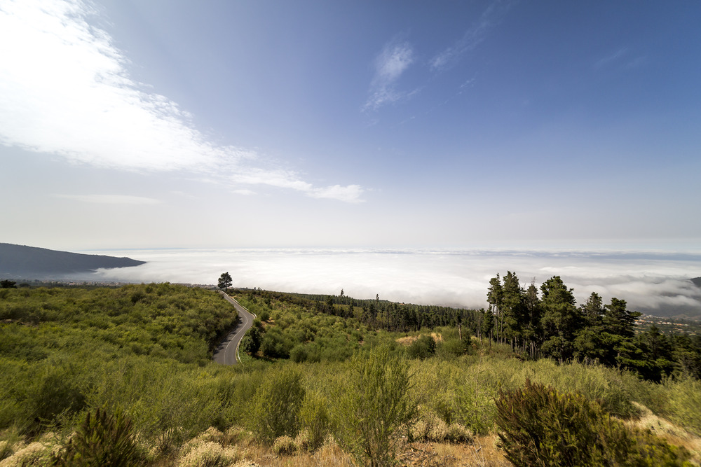 Discover the best things to do see and do in Tenerife - TRIFARGO